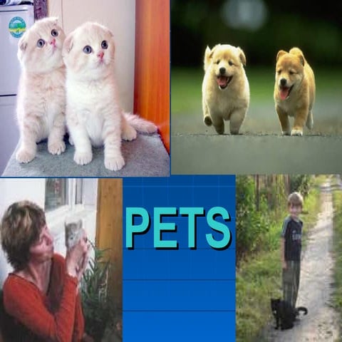 Pets | PPT