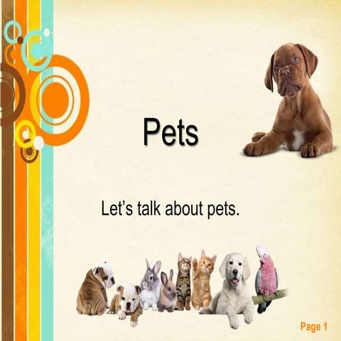 ESL Pets Vocabulary and Grammar Lesson | PPTX