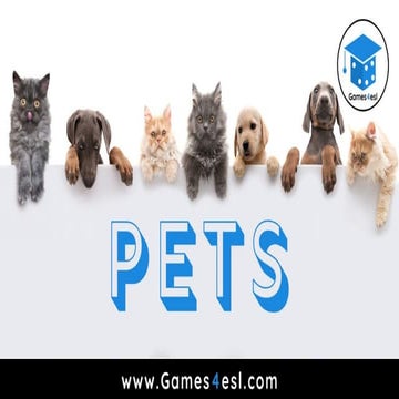 Pets-PowerPoint For ESL students in 3rd .pptx