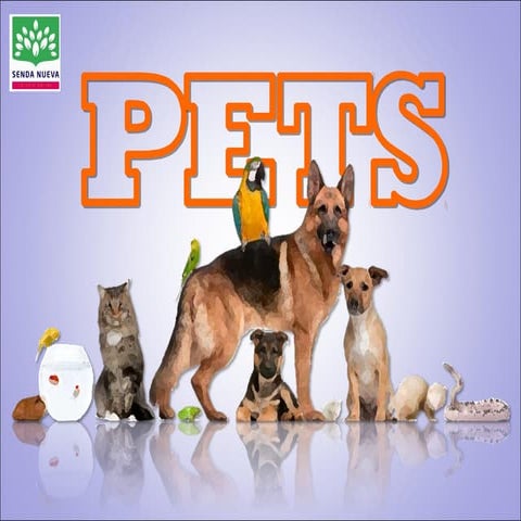 Pets ppt-flashcards-fun-activities-games-games-picture-dict 47196 | PPT