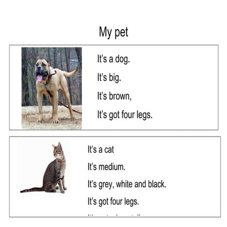 Pets 1 | PPT