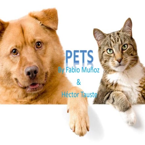 Pets (1) | PPT