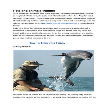Pets and animals training.pdf