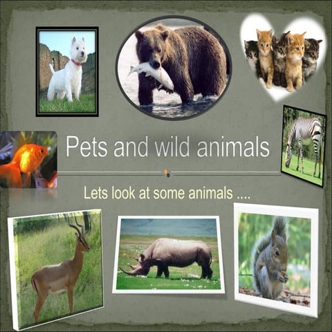 Pets and wild_animals | PPT