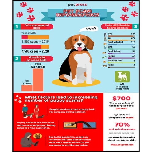 Pet Scam Infographics by PetPress | PDF | Dogs | Pets