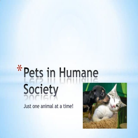 Pets in humane society | PPT