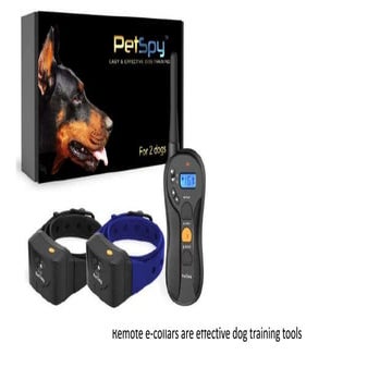 Petspy.pptx