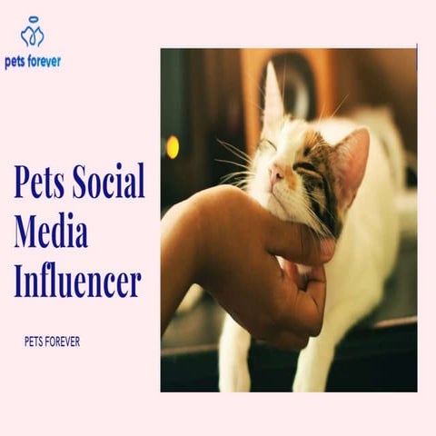 Pets social media influencer | PPTX