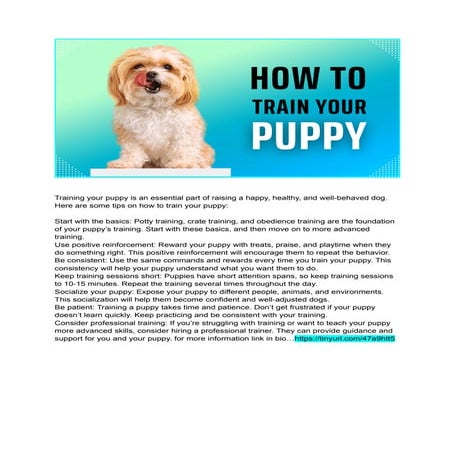 How to train your puppy. | PDF