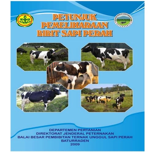 Petunjuk pemeliharaan-sapi-perah | PDF