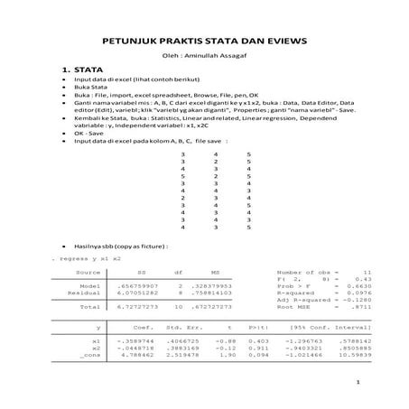 Petunjuk stata dan eviews | DOCX