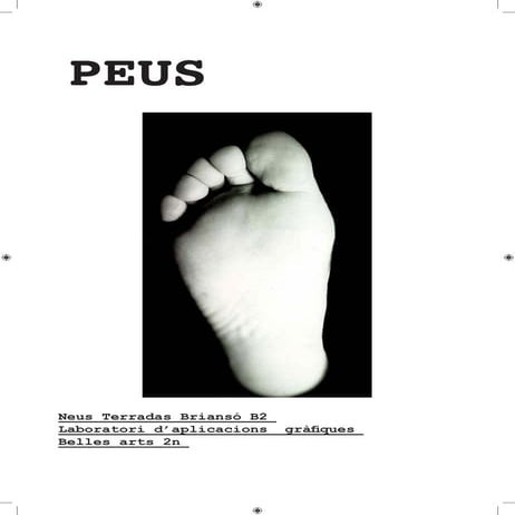 Article scaffold2 | PDF