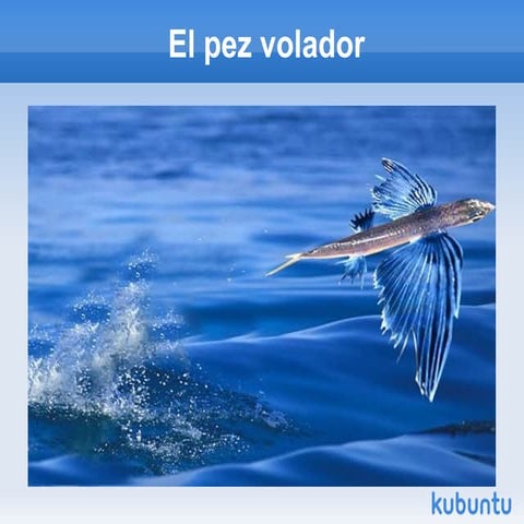 Pez volador | ODP