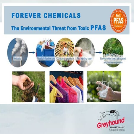 PFAS Chromatography Products From Greyhound | PDF