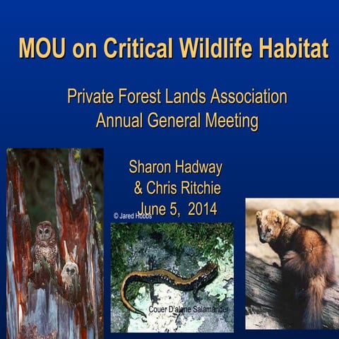 Critical Wildlife Habitat MOU presentation | PPT