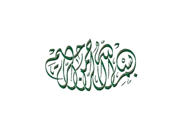 Project Governance | PPT