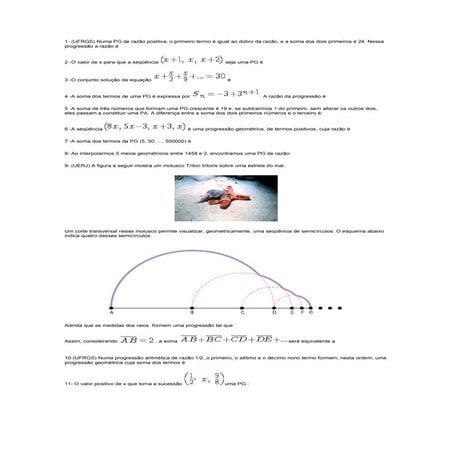 Slides- Progressão Geométrica | PPTX