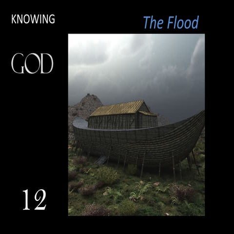 12 The Flood | PPT