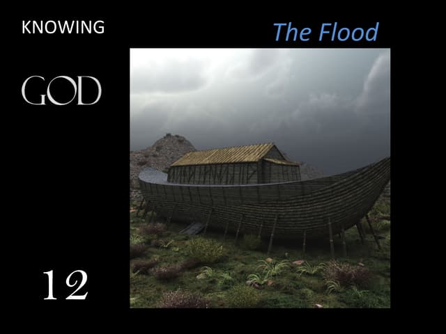 Story Of Noah | PPT