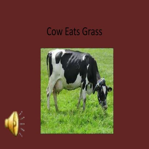 Persembahan Slaid PowerPoint | PPTX