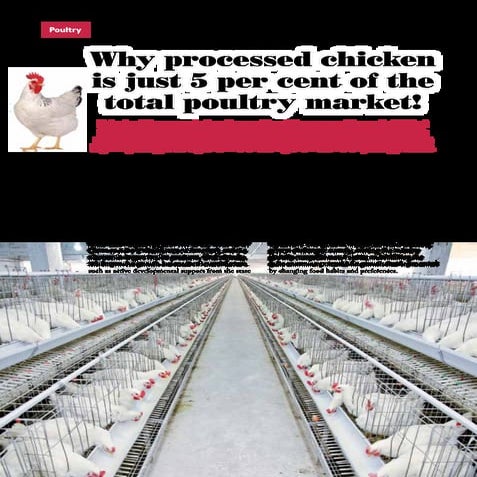 Why Processed Chicken is just 5% of the Poultry Market. | PDF
