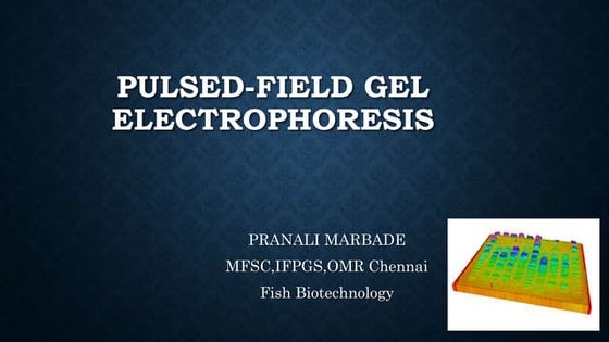 Immunoelectrophoresis | PPTX