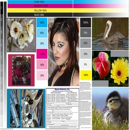 pgg_print sample_093005 EPSON.pdf | Computer Peripherals | Computing