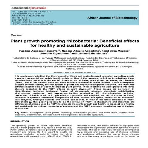 plant growth promoting rhizobacteria | PPTX