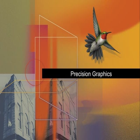 Precision Graphics Presentation | PPT