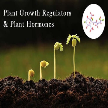plant growth regulators | PPT