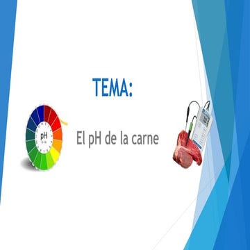 El pH en la carne | PPTX