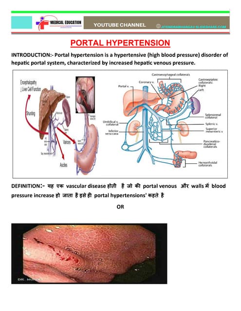 Heart internal organs short Note.pdf Jitendra bhargav SlideShare com | PDF