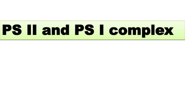 Photosynthesis light dependent reactions | PPTX