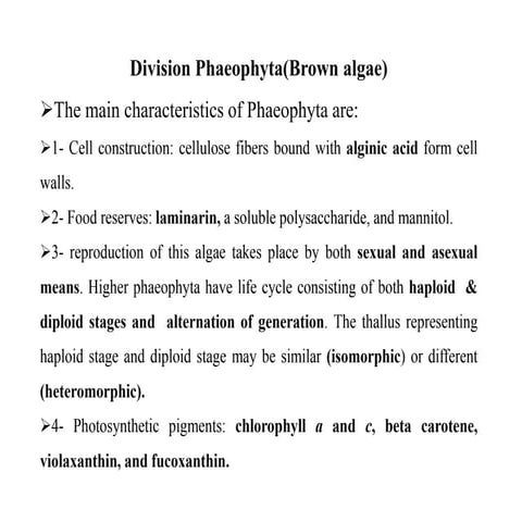 Phaeophyceae.ppt
