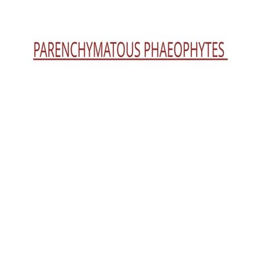 Parenchymatous phaeophytes are algae is commonly called as brown algae ...