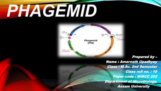 High and low copy number of plasmids | PPTX | Biological Sciences | Science