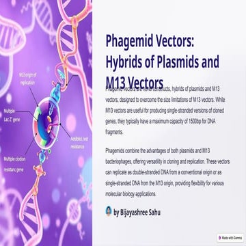 Phagemid-Vectors-Hybrids-of-Plasmids-and-M13-Vectors.pptx