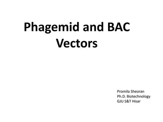 Phagemid vector | PPT