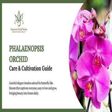 Orchid Care Guide Tips for Plants & Flowers | PDF