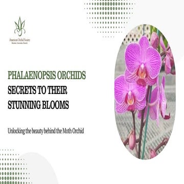 Phalaenopsis Orchid Care & Cultivation Guide.pdf