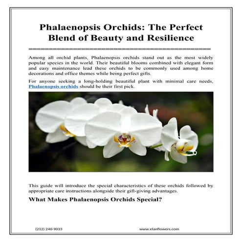 Phalaenopsis Orchids: The Perfect Blend of Beauty and Resilience.docx
