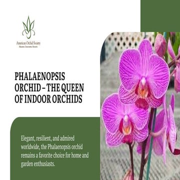 Phalaenopsis Orchid Care & Cultivation Guide.pdf