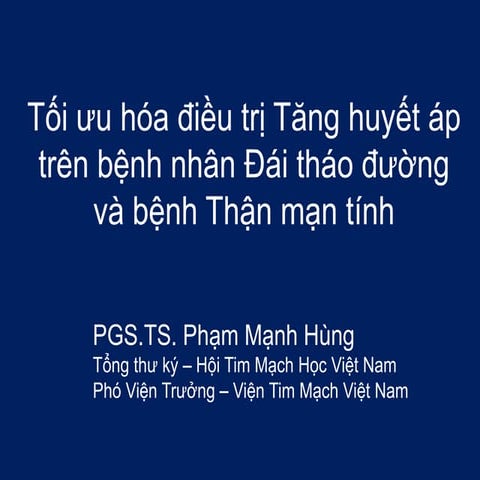 Pham manh-hung-toiuu-hoa | PDF