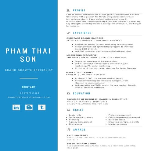 Pham Thai Son CV | PDF