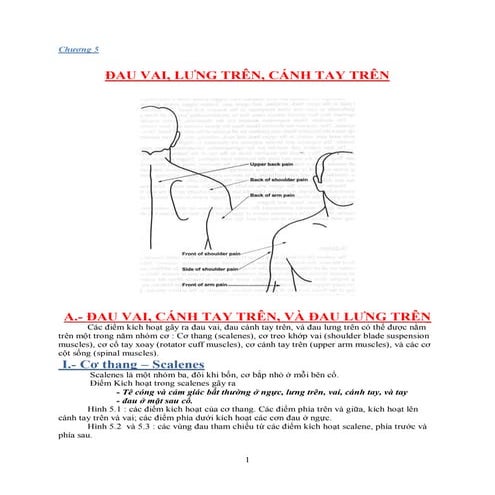 Phan c Trigger VHN | PDF