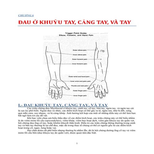 Phan d Trigger VHN | PDF