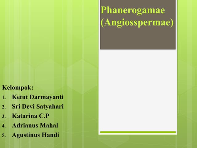 tanaman melon | PPTX