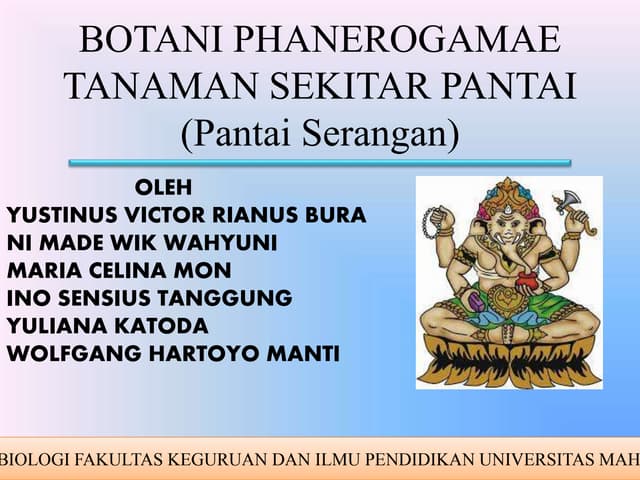 tanaman melon | PPTX