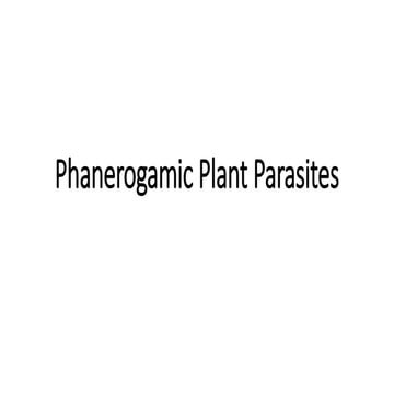 Phanerogamic plant parasites.pptx