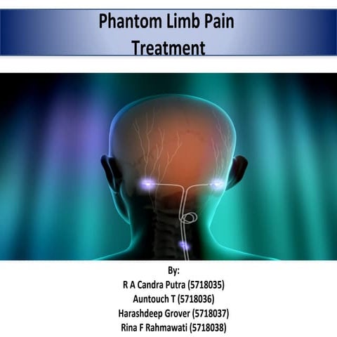 Phantom limb treatment | PPT